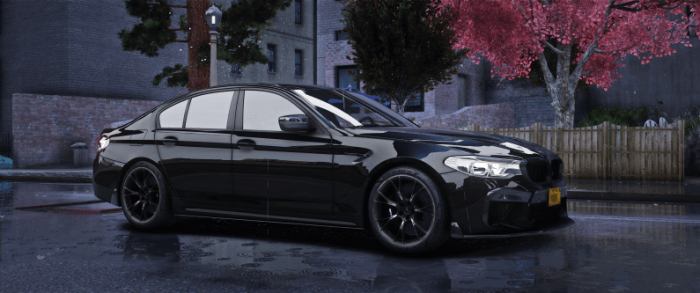 BMW M5 Acschnitzer 2019 WB | FiveMRides - FiveM Ready | Optimized ...